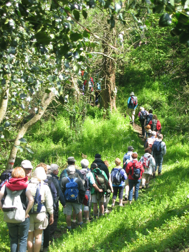 11 000 km de sentiers balisés - OCEANE FM